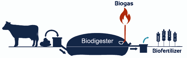 Biogas Gobar – sajeevanlife.com